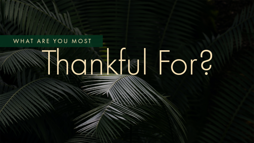 What Are You Most Thankful For? – Palma Ceia Baptist Church